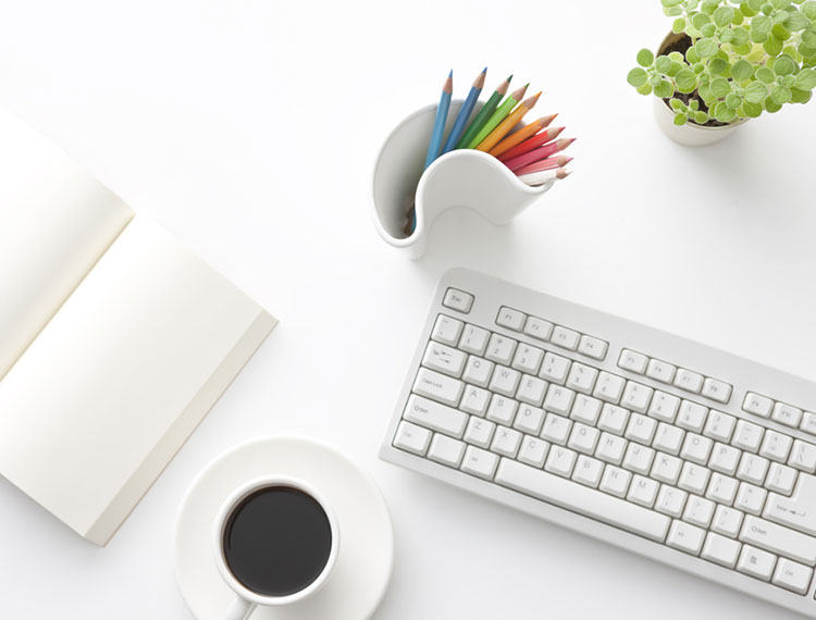 Resume | Sarah Maloy